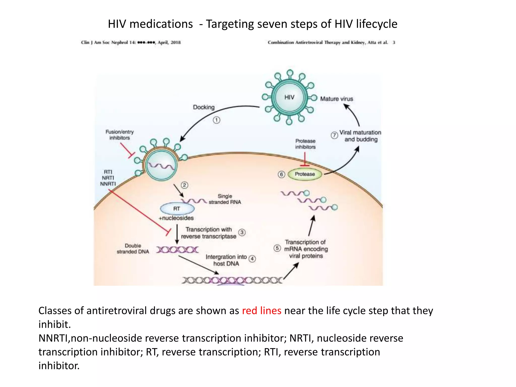 Hiv and the kidney | PPTX