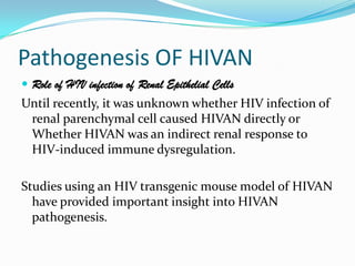 Hiv associated nephropathy(Dr. sood) | PPTX