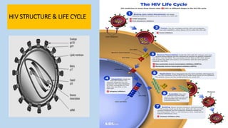 Hiv basic concept | PPT