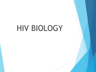 HIV BIOLOGY.pptx