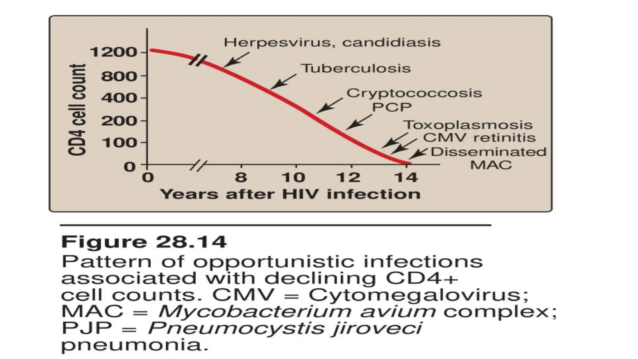 HIV – CLINICAL MANIFESTATIONS, DIAGNOSTIC CRITERIA & SAMPLING.pdf