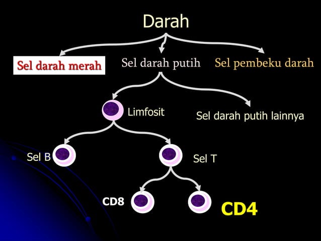 Hiv dan aids review zul | PPTX