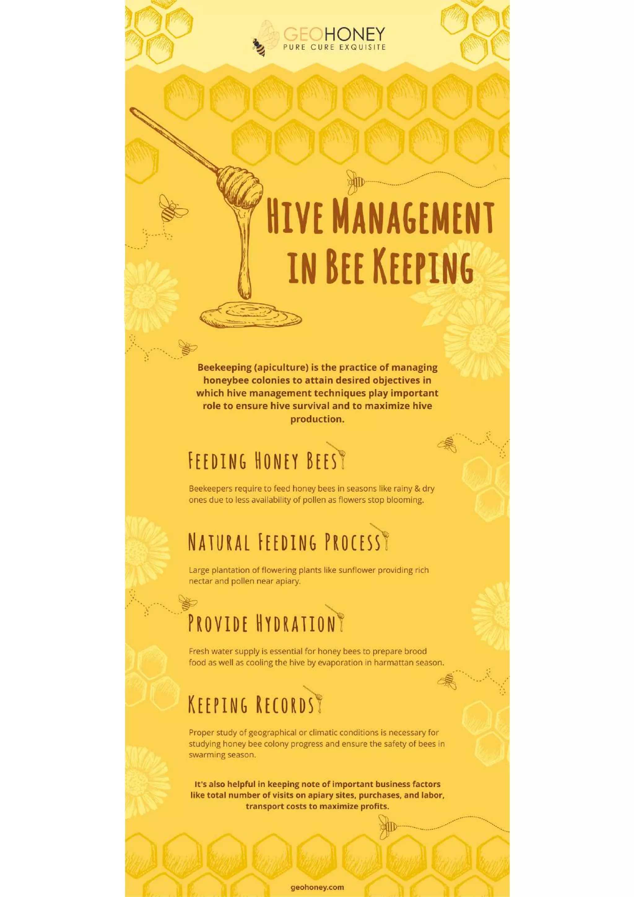 Hive management in Beekeeping - GeoHoney | PDF