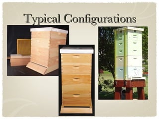 Typical Bee Hive Configuration | KEY