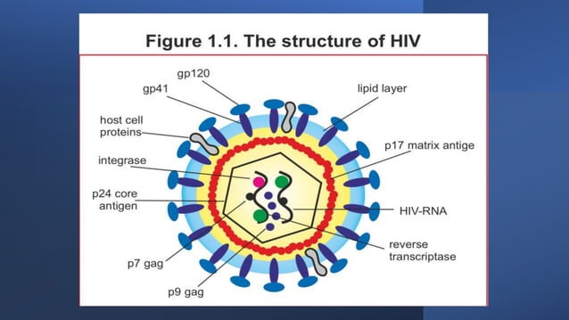 HIV presentation | hiv and various respiratory infections | | PPT