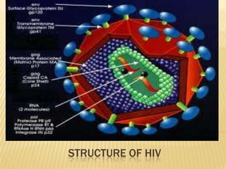 Hiv(human immunodeficiency virus) | PPTX