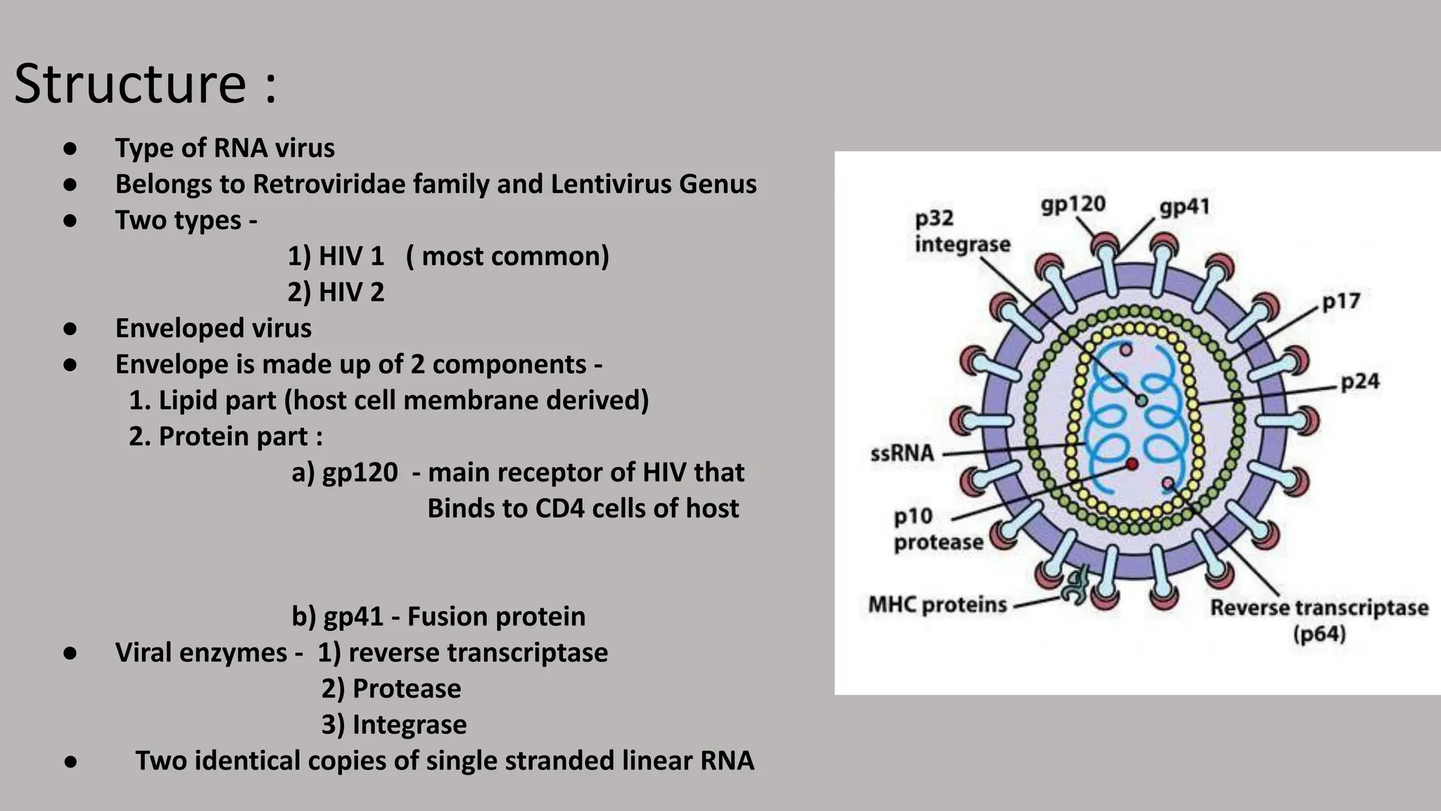 HIV (Human Immunodeficiency Virus)&AIDS | PPT