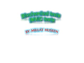 Biochemical tests | PPTX
