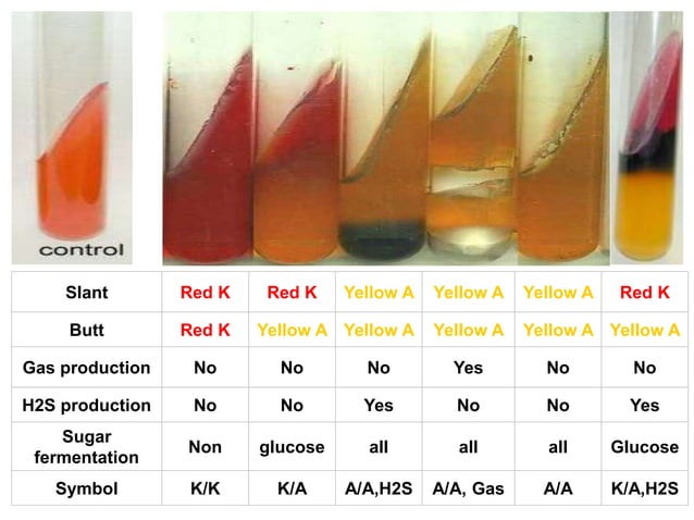 Biochemical tests | PPTX | Chemistry | Science