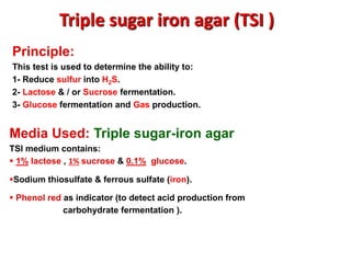 Biochemical tests | PPTX