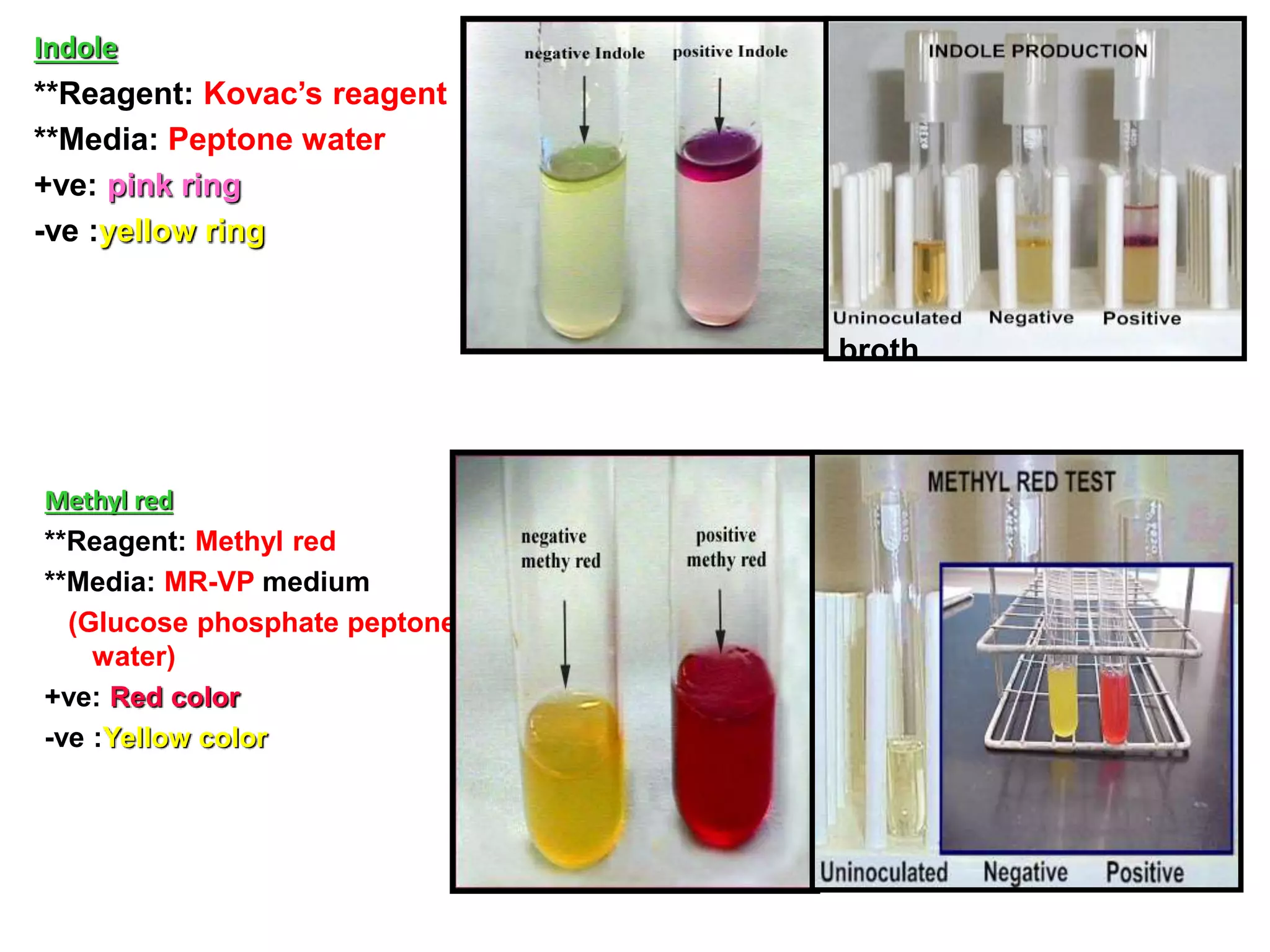 Biochemical tests | PPT