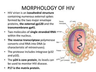 Hiv infection and aids | PPTX