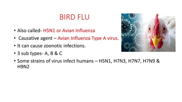 HIV & INFLUENZA.pptx