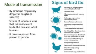 HIV & INFLUENZA.pptx