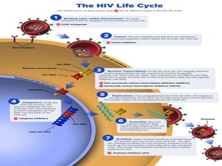 Hiv & its mechanism | PPTX