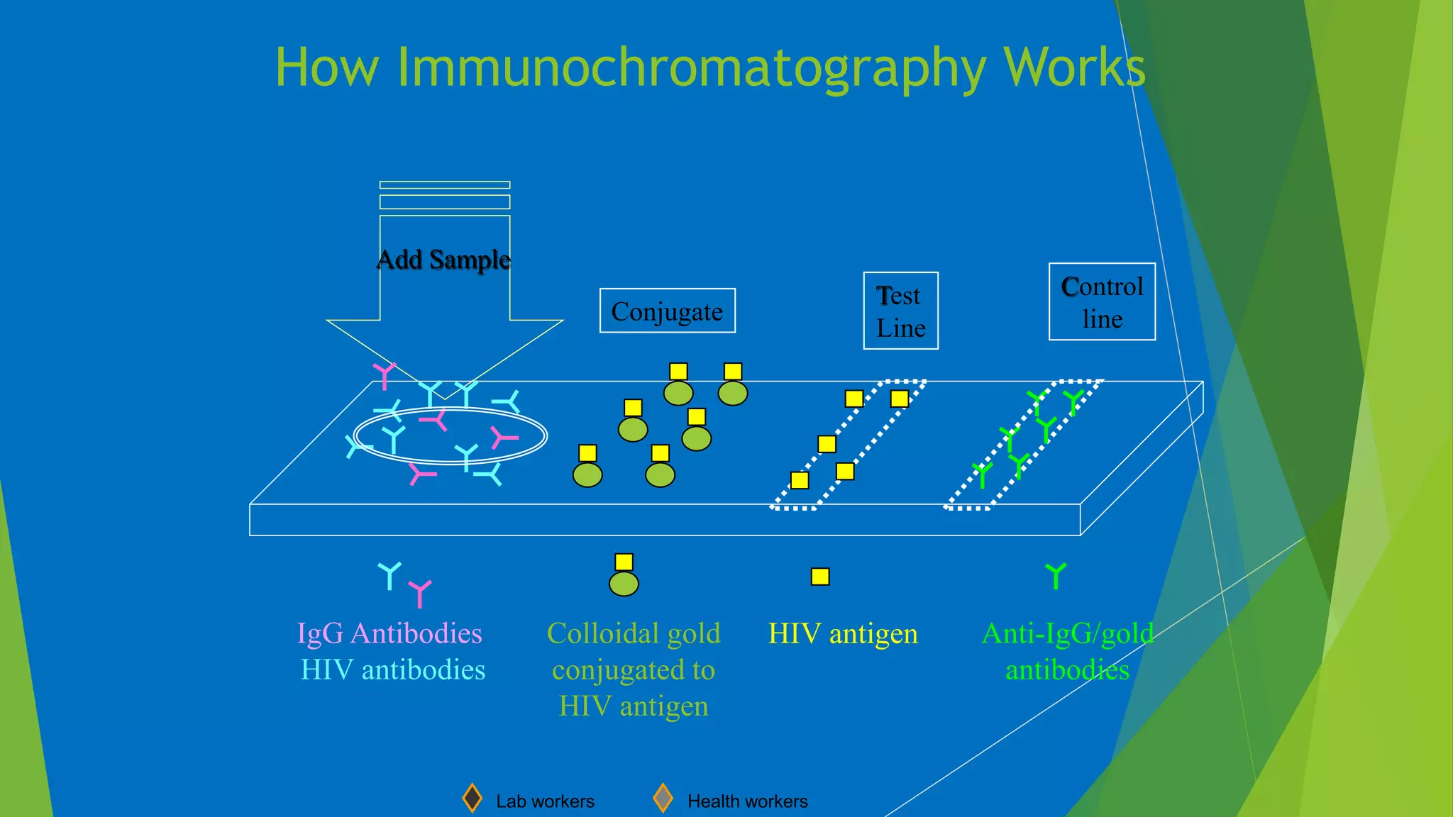 Hiv lab diagnosis | PPTX