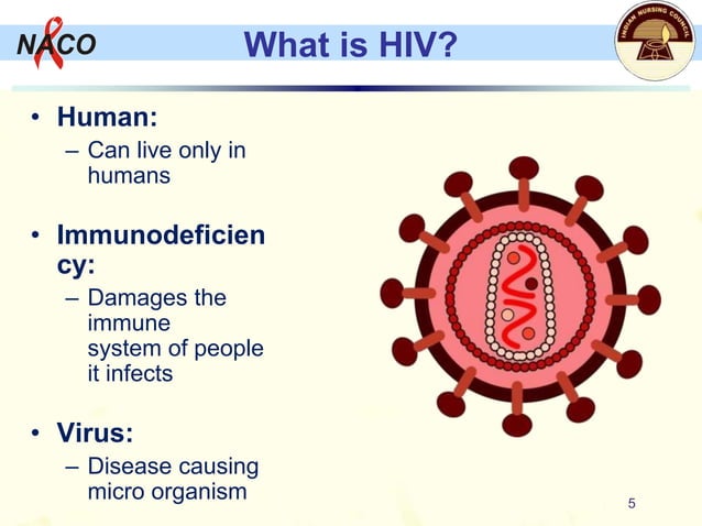 Hiv lecture | PPT