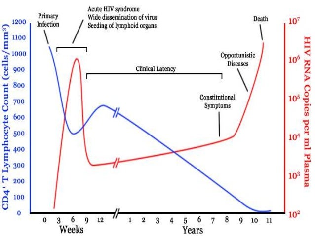 Hiv lecture