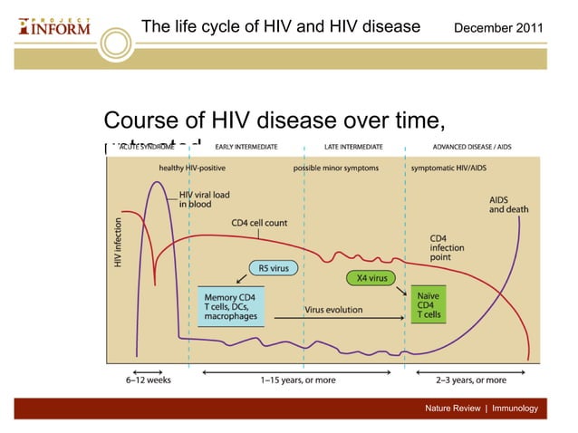 Hiv Lifecycle | PPTX | Biological Sciences | Science