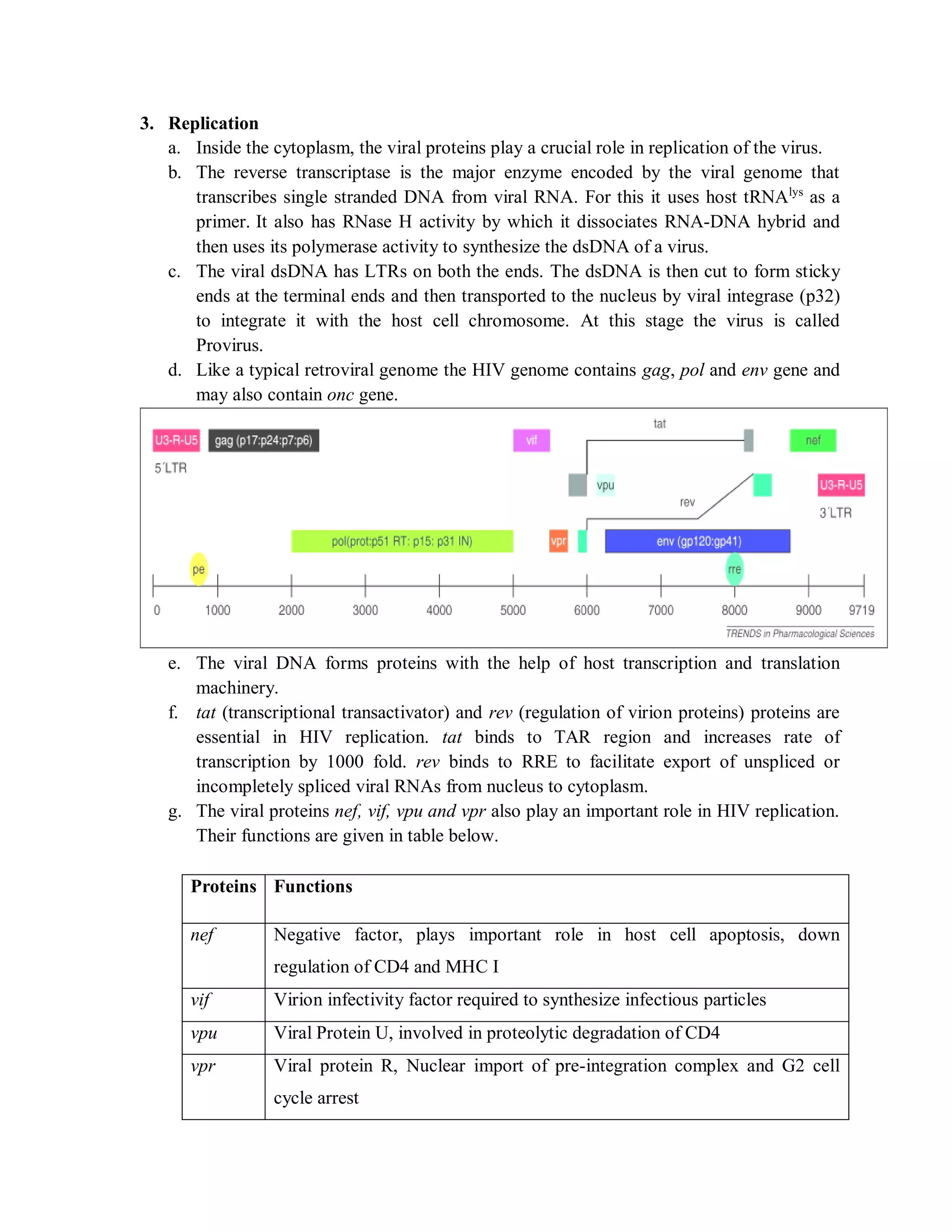 Hiv life cycle | PDF