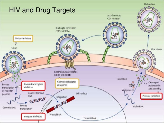 Hiv management in saskatchewan m.stuber