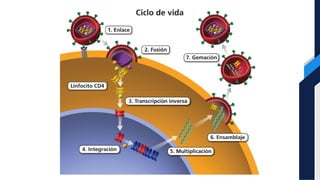 VIRUS DE INMUODEFICIENCIA HUMANA EN EMBARAZO.pptx