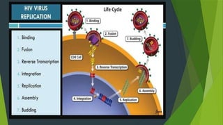 HIV PATHOPHYSIOLOGY-12345679123456789124 | PPTX