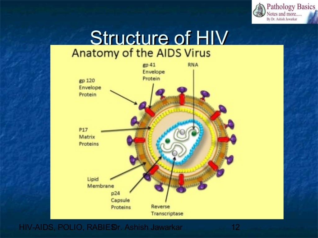 VIRULOGY - HIV (AIDS) , POLIOMYELITIS VIRUS, RABIES VIRUS