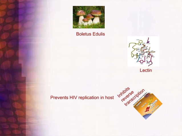 Hiv ppt | PPT | Free Download