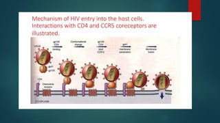 HIV PPT.pdf, hiv pathogenesis, and symptoms | PPT