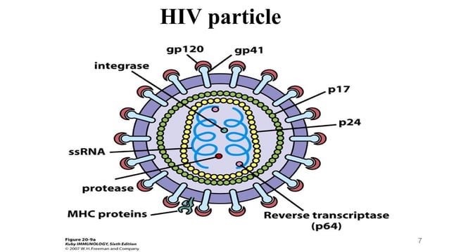 Hiv presentation 1 | PPT