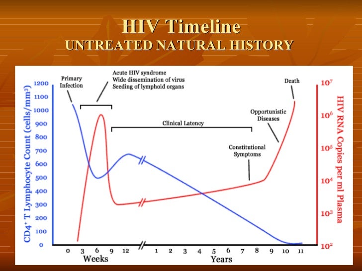 Hiv Primary Care