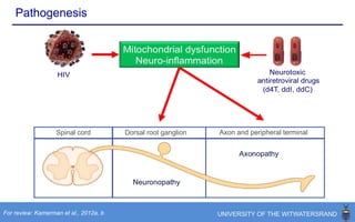 HIV-related neuropathy | PDF