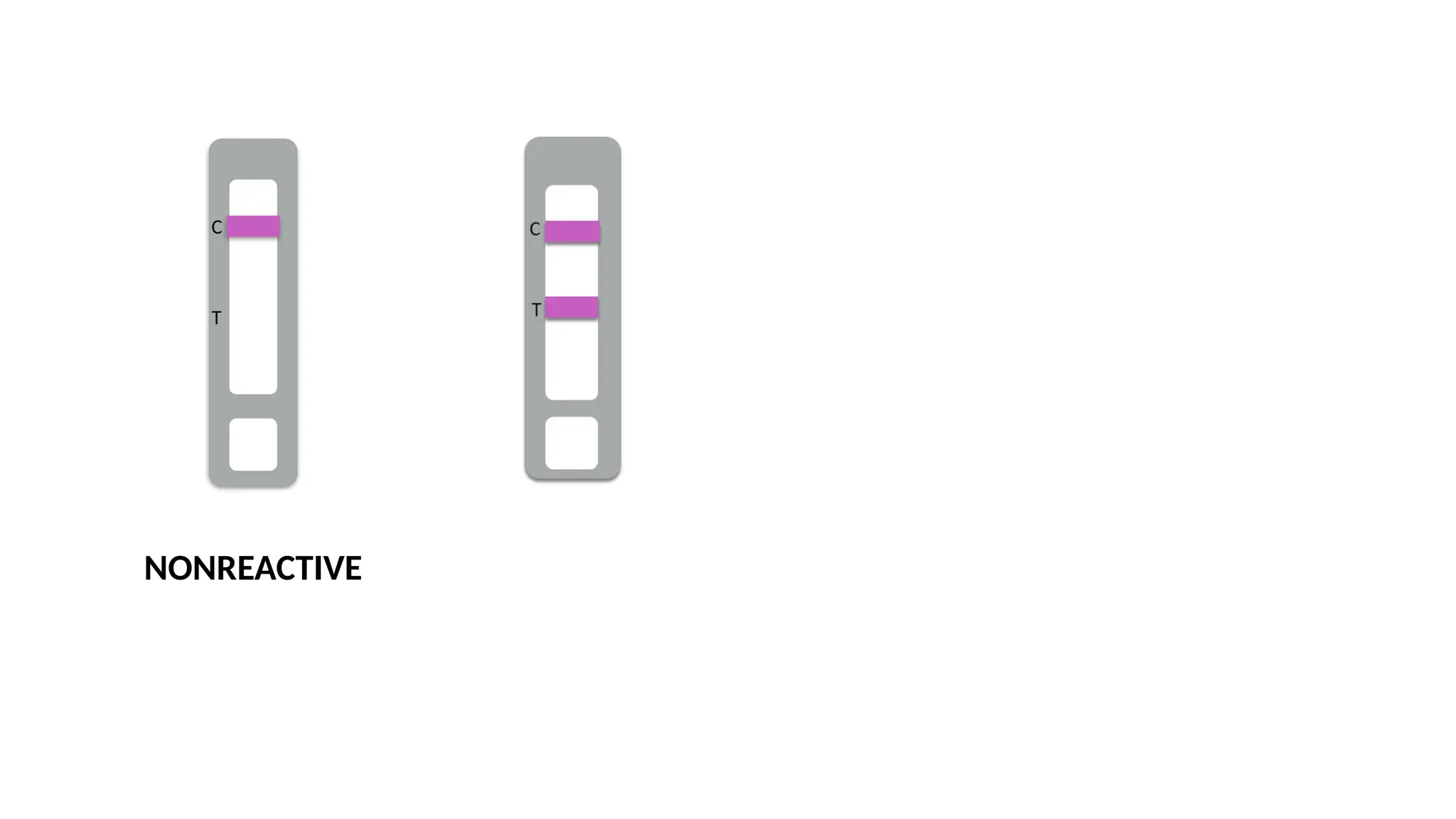 Sample HIV screening test results with answers.pptx