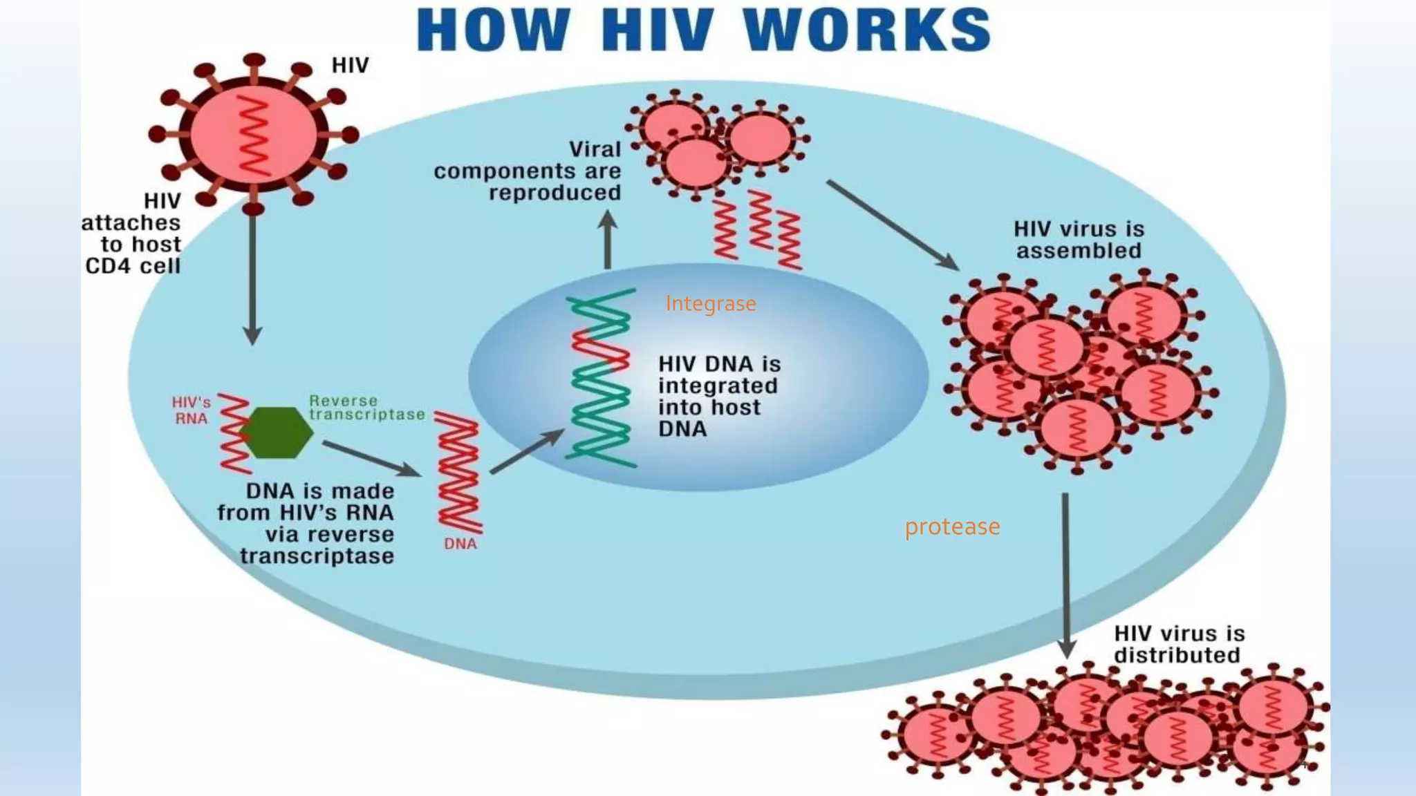 hiv drug resistance and its management | PPTX