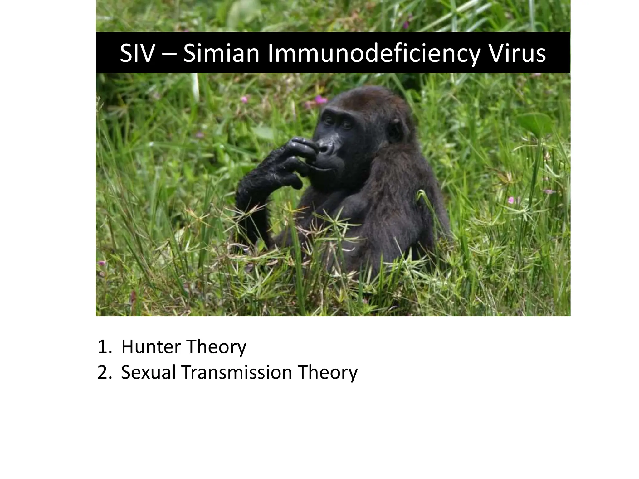 HIV & STI Prevention Module Master Trainer Slides.pptx
