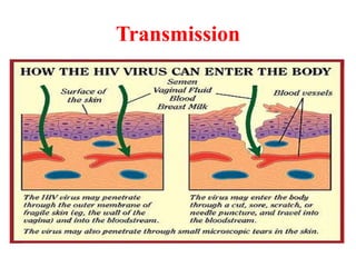 HIV Transmission Modes.ppt