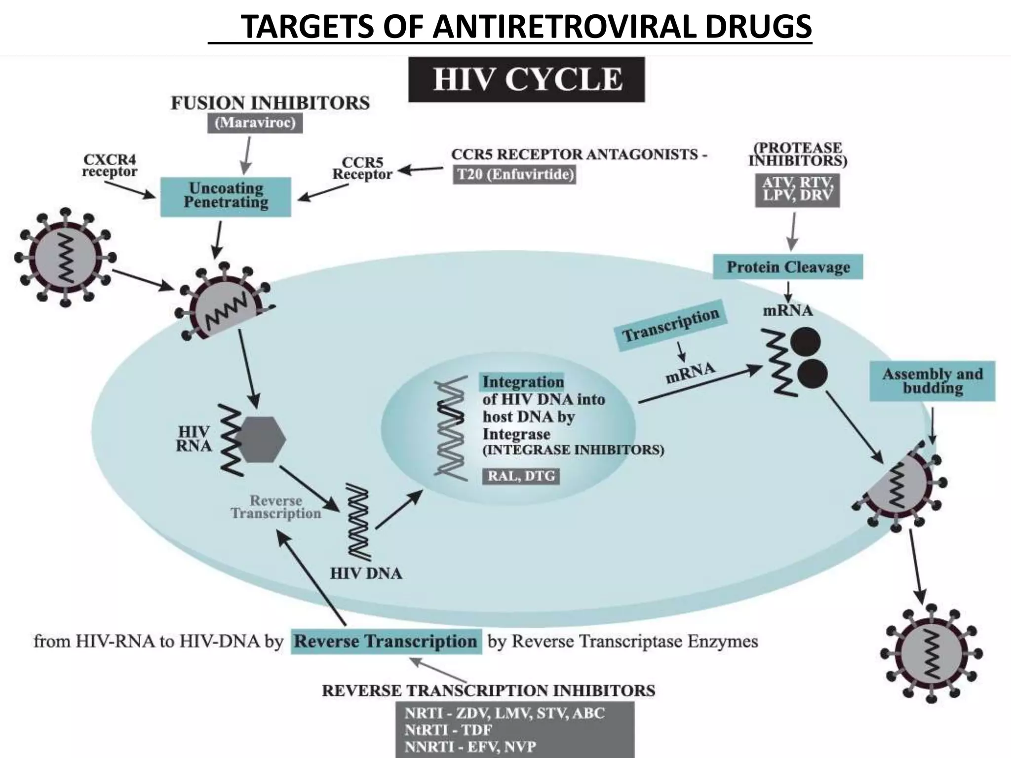 HIV TREATMENT PPT.pptx