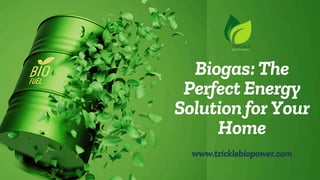 Turn Kitchen Waste into Cooking Gas – Biogas for Homes | PPT