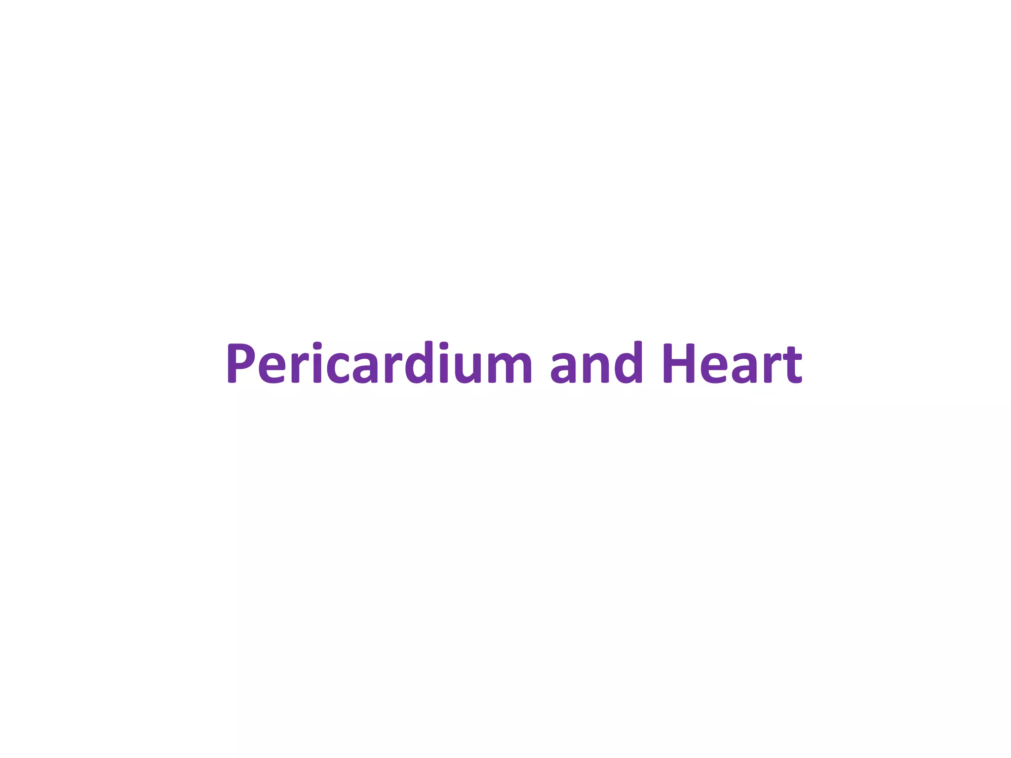 Heart and pericardium cvs anatomy | PPT