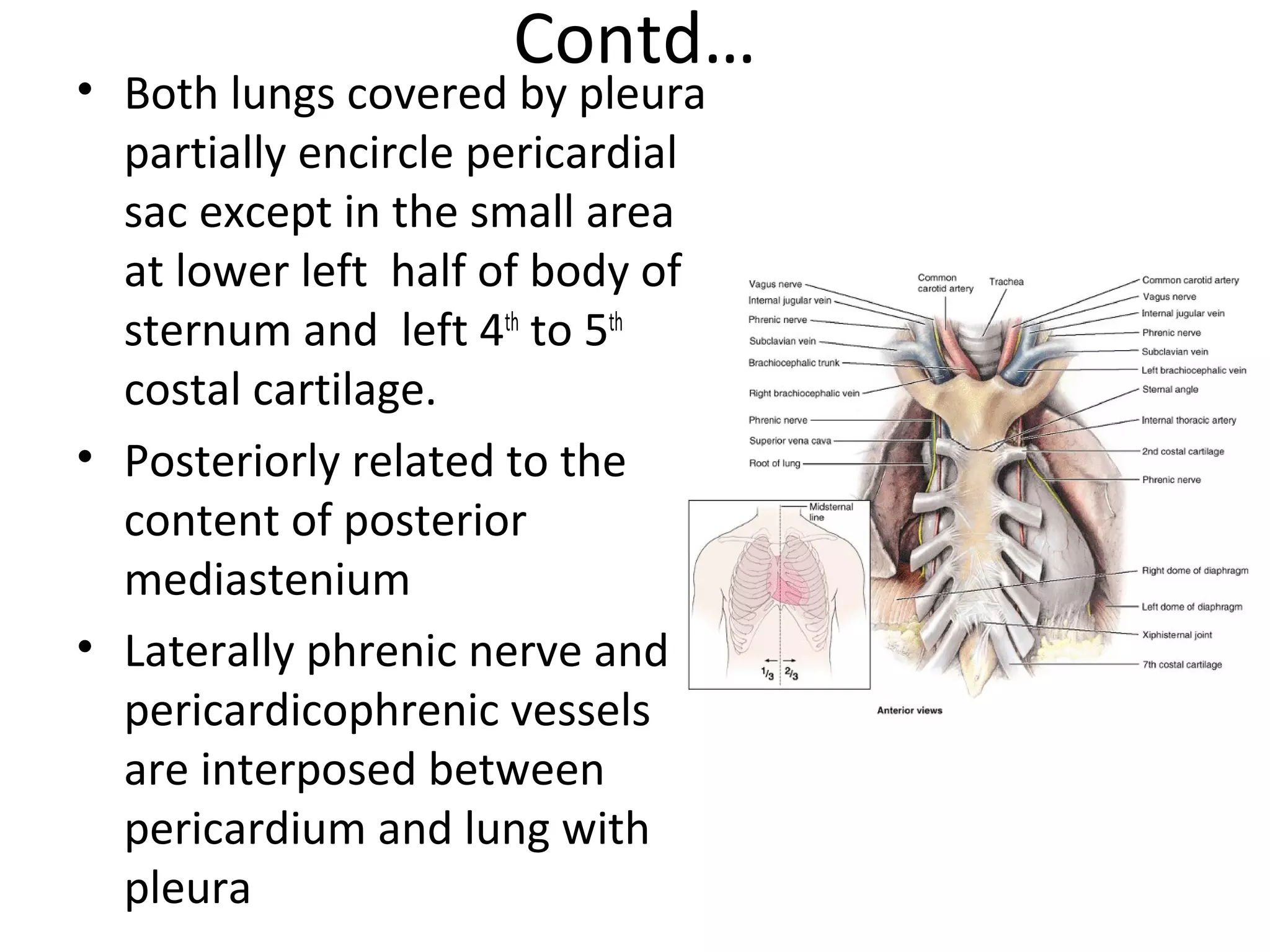 Heart and pericardium cvs anatomy | PPT