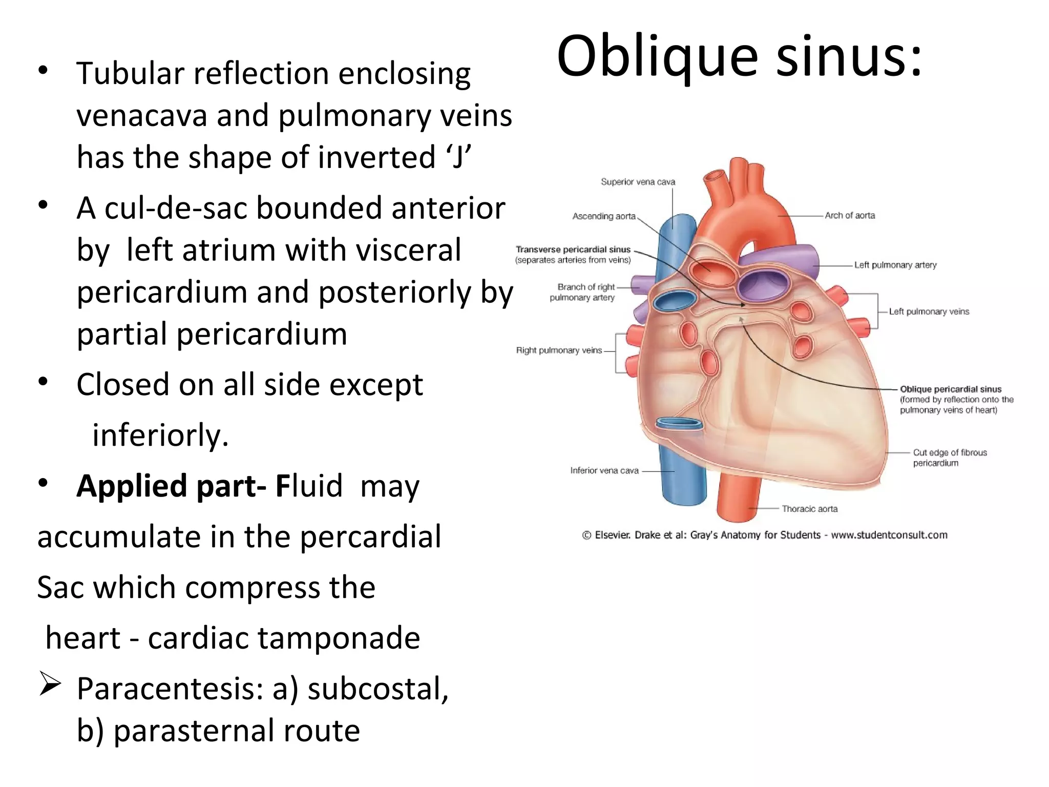 Heart and pericardium cvs anatomy | PPT