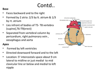 Heart and pericardium cvs anatomy | PPT