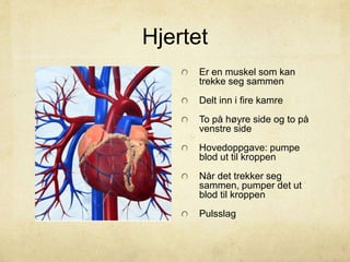 Hjertet | PPTX