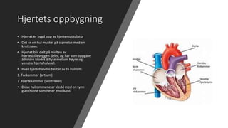 Hjertet | PPT | Free Download