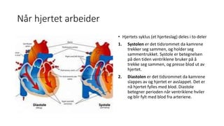 Hjertet | PPT | Free Download