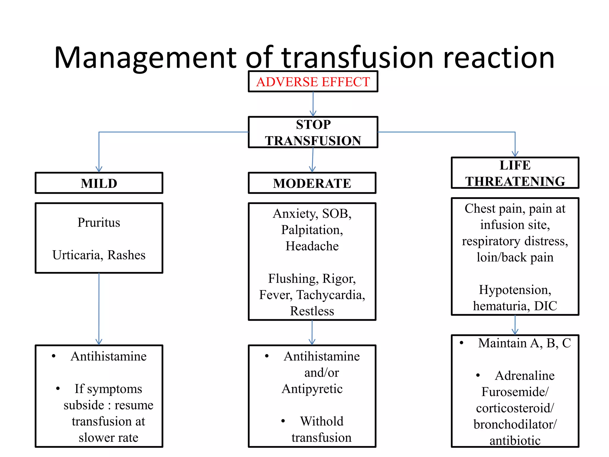 blood, blood product, blood transfusion | PPTX