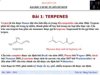 Terpenoid là gì? Khám phá định nghĩa, nguồn gốc và ứng dụng