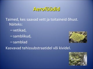 õHk Elukeskkonnana | PPT