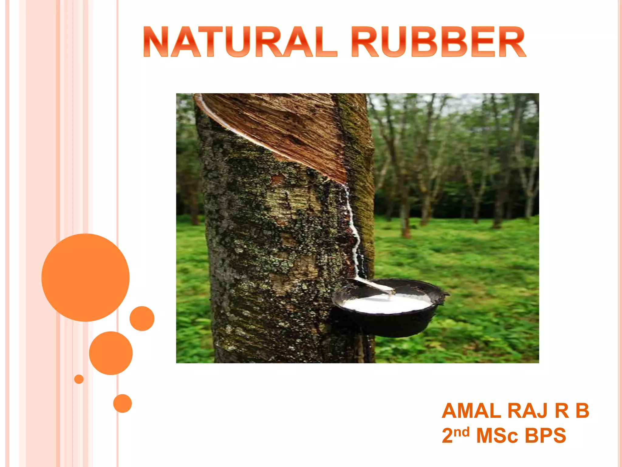 NATURAL RUBBER | PPT